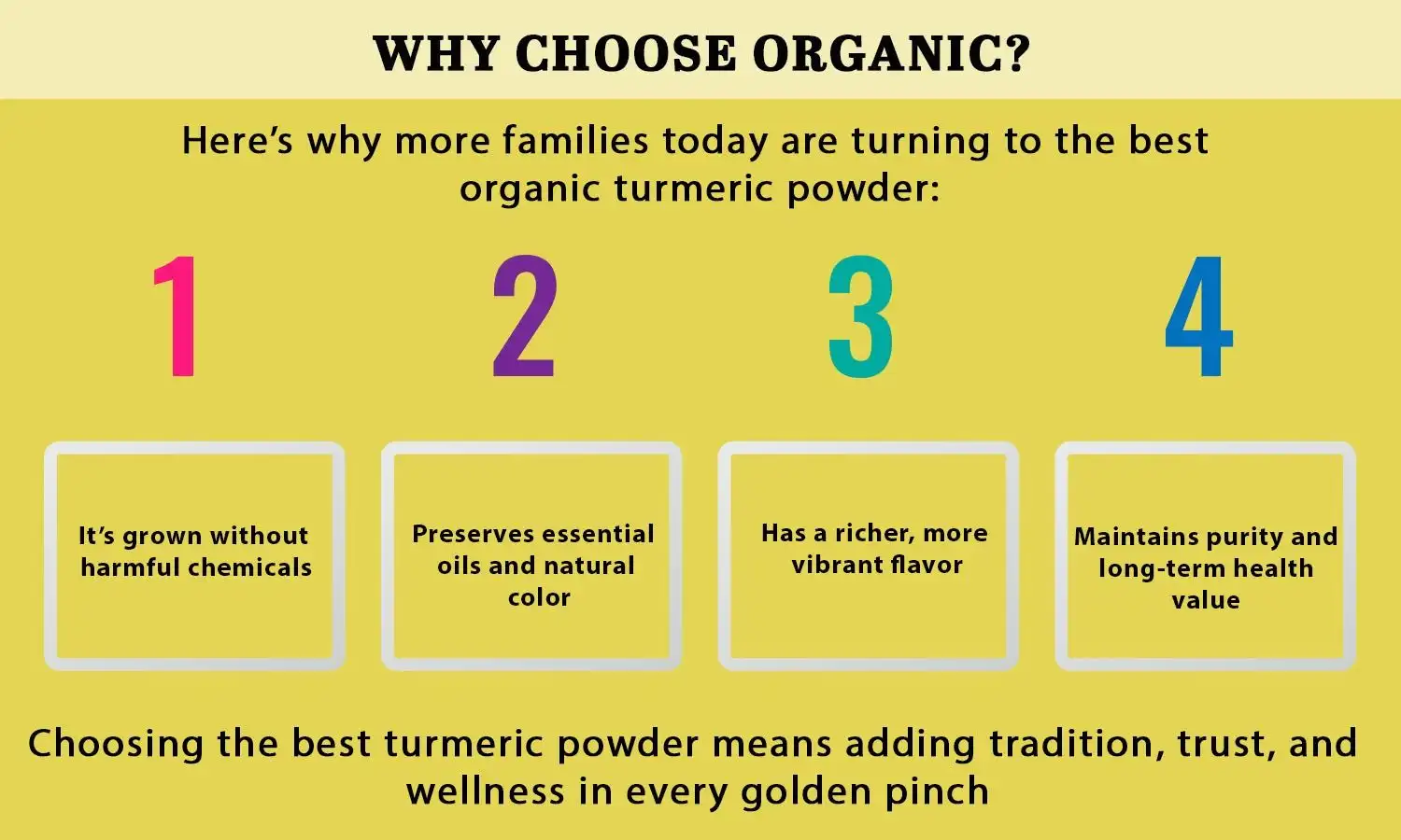 What Is Organic Turmeric Powder? 5 Things You Should Know